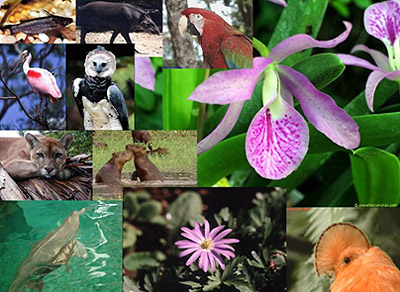 Conocemos nuestra Flora y Fauna de la Región la Libertad